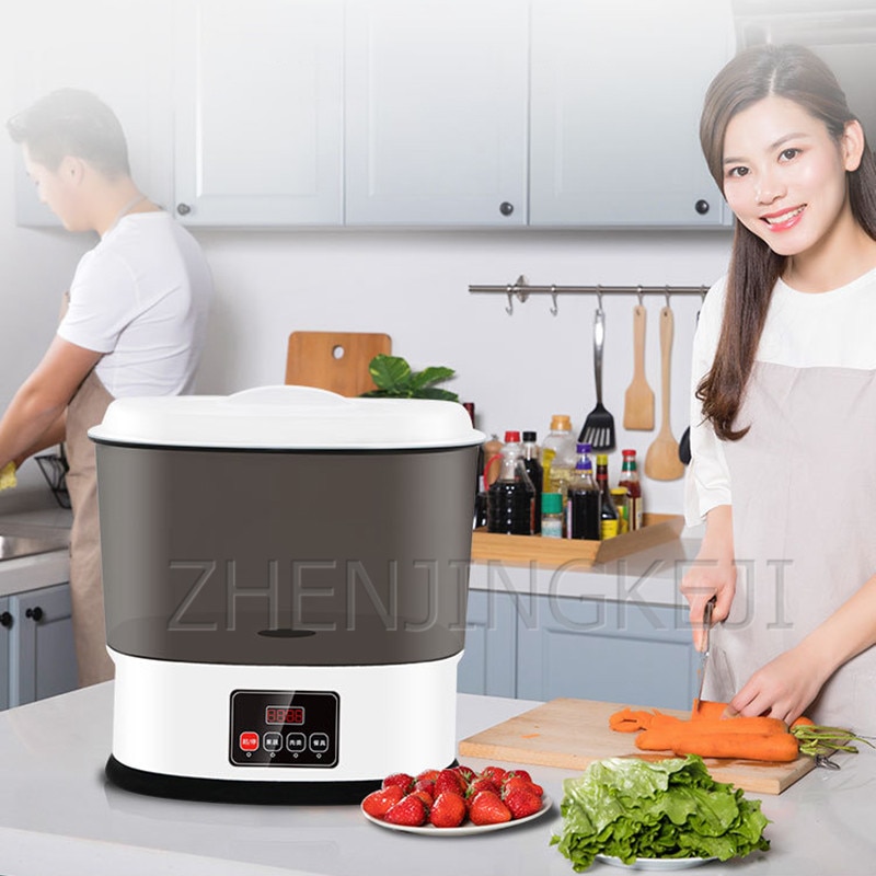 Fruit And Vegetable Detoxification Machine Home Us... – Vicedeal