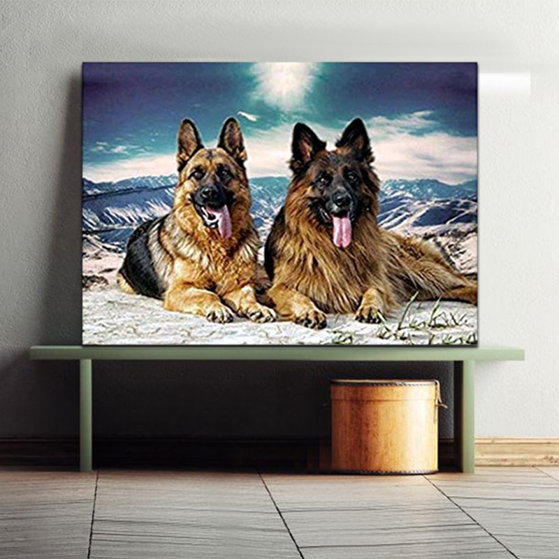 DIY colorings pictures by numbers with dogs pictur... – Vicedeal