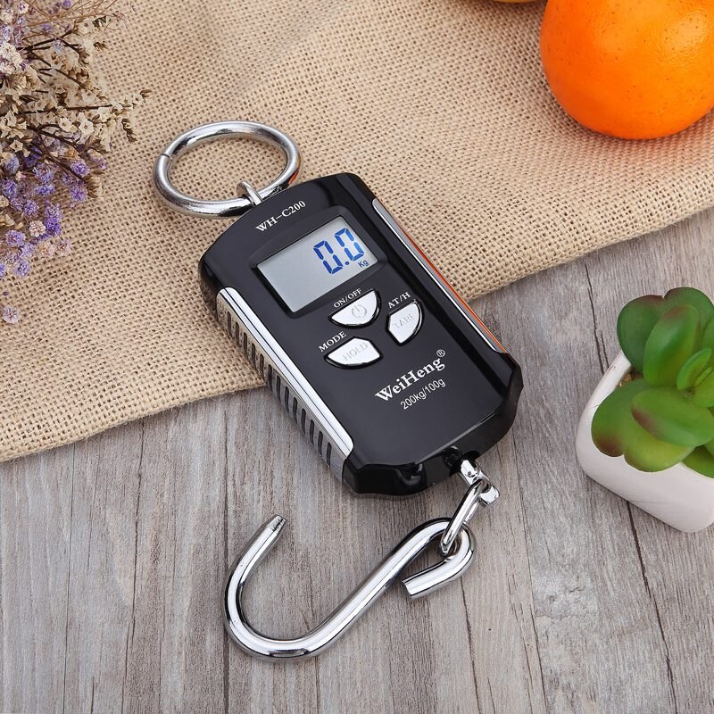 200kg 100g Crane Scale Mini Heavy Duty Electronic ... – Grandado
