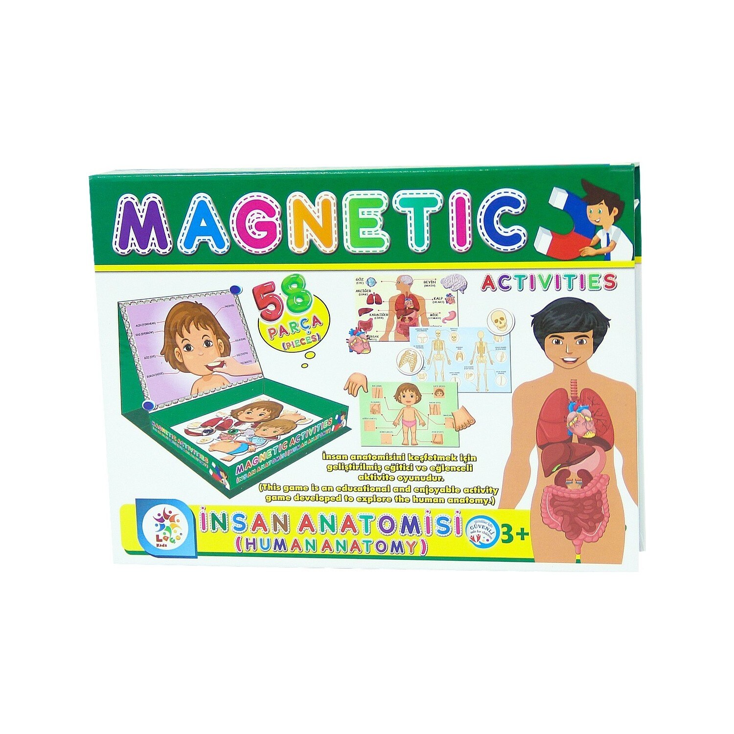 Magnetic Human Anatomisi Activity – Vicedeal