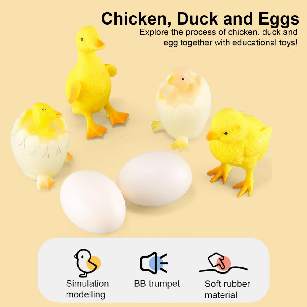 6Pcs/Set Life Cycle Toy Interactive High Imitation... – Grandado