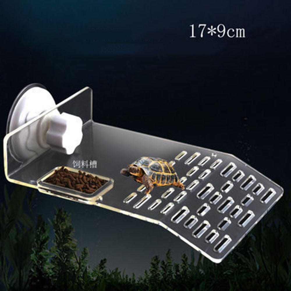 Plastic Turtle Pier Dock Koesteren Platform Plank ... – Vicedeal