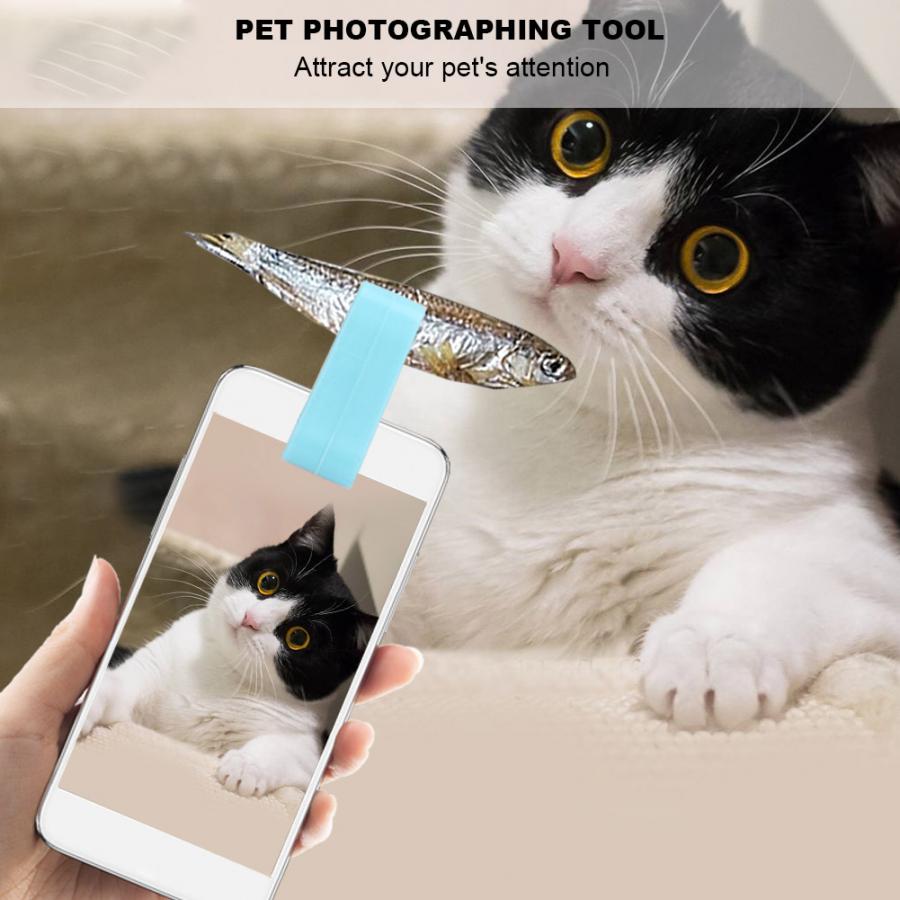 2pcs Silicone Pet Selfie Clip Dog Cat Photographin... – Grandado