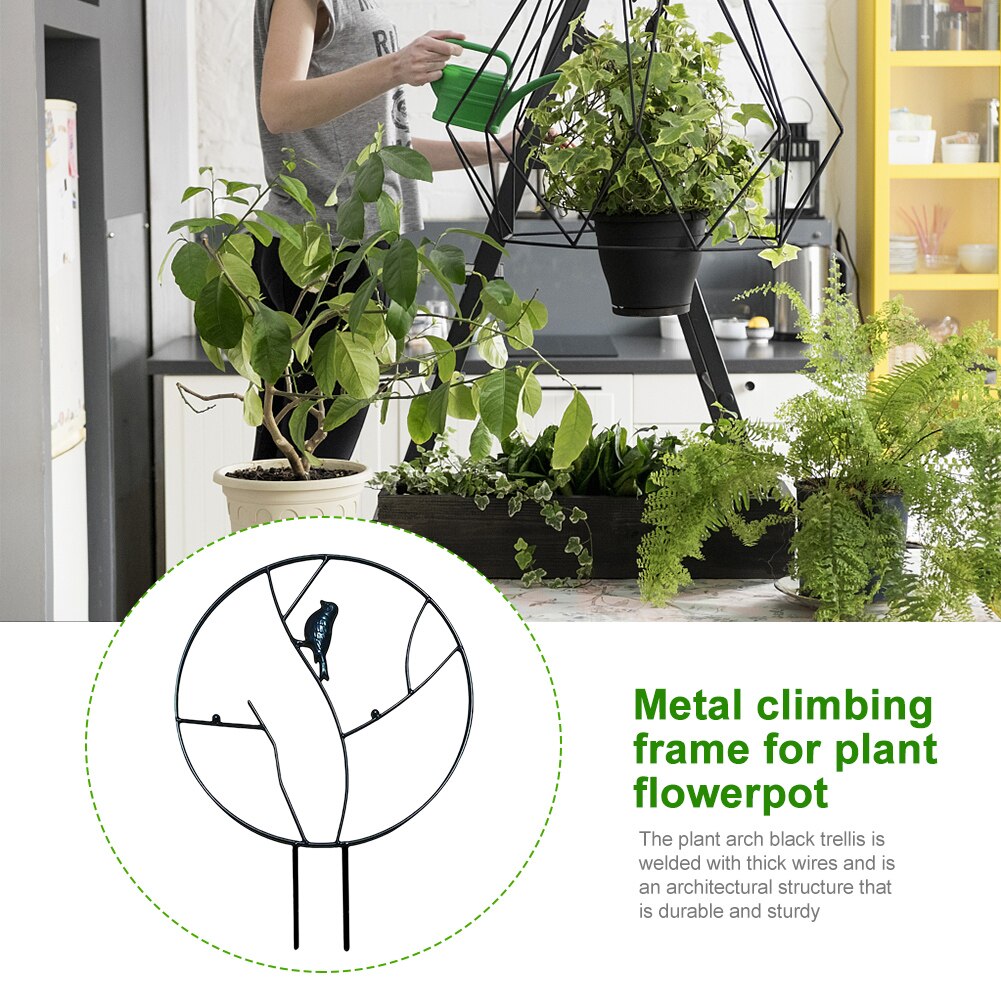 Plant Trellis Climbing Plants Support Garden DIY I... – Grandado