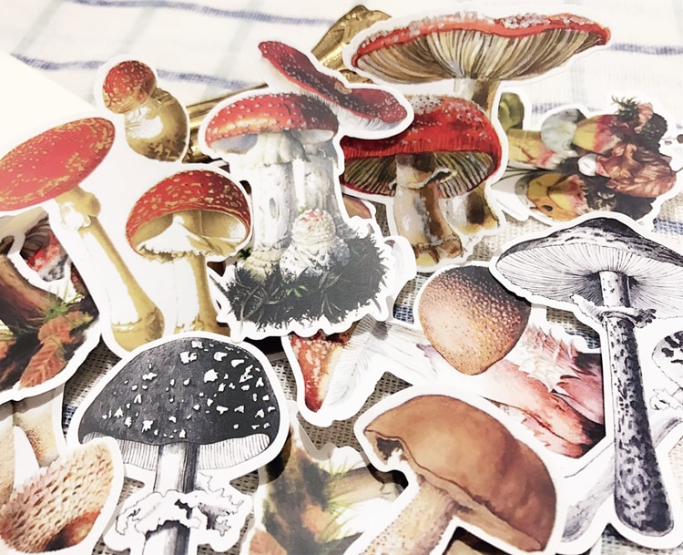 29Pcs Vintage Mushroom Stickers Scrapbooking Stick... – Grandado