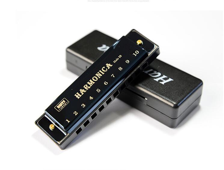 Harmonica 10 Holes 20 Tunes Mouth Organ Blues Delu... – Grandado