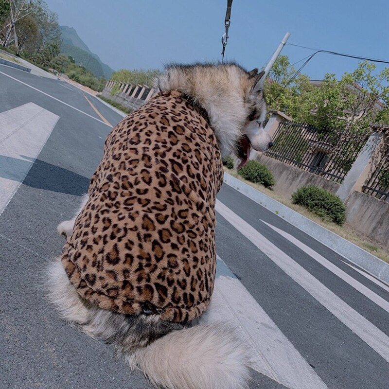 Dog Leopard Print Coat Free Necklace Warm Clothes ... – Grandado