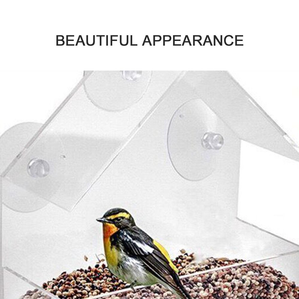 Bird Feeder Window Parrot Food Feeder Bird Feed Bo... – Grandado
