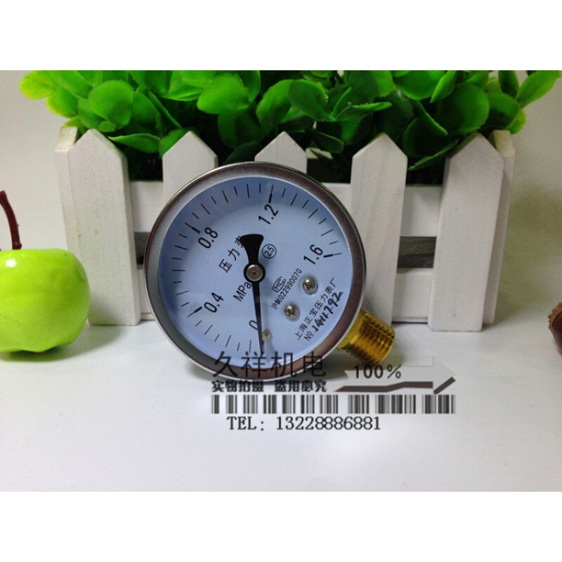 Shanghai Zhengbao Y60 Pressure Gauge Air Pressure ... – Grandado