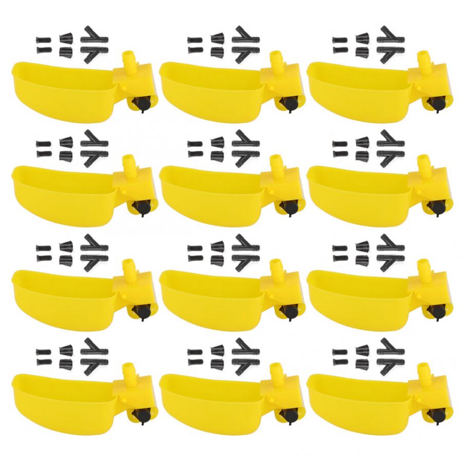 Quail Drinking 12pcs Pigeons Quail Waterer Feeder ... – Grandado