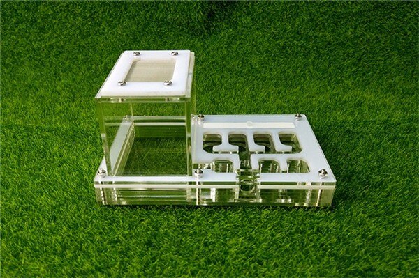 Ant Housing Nest Insect Cage Farms Feed Acrylic Di... – Grandado