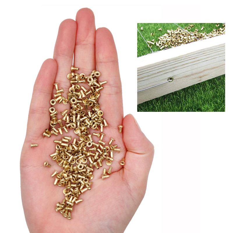 2200-12500Pcs Bee Hive Copper Eye Bees Nest Box Fo... – Grandado