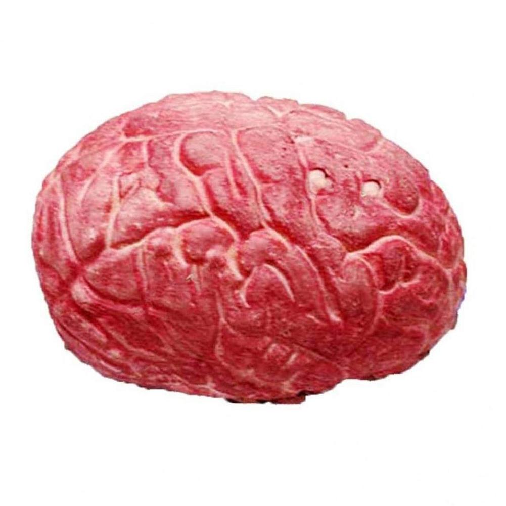 Halloween DIY Toys Halloween Brain Realistic Brain... – Grandado