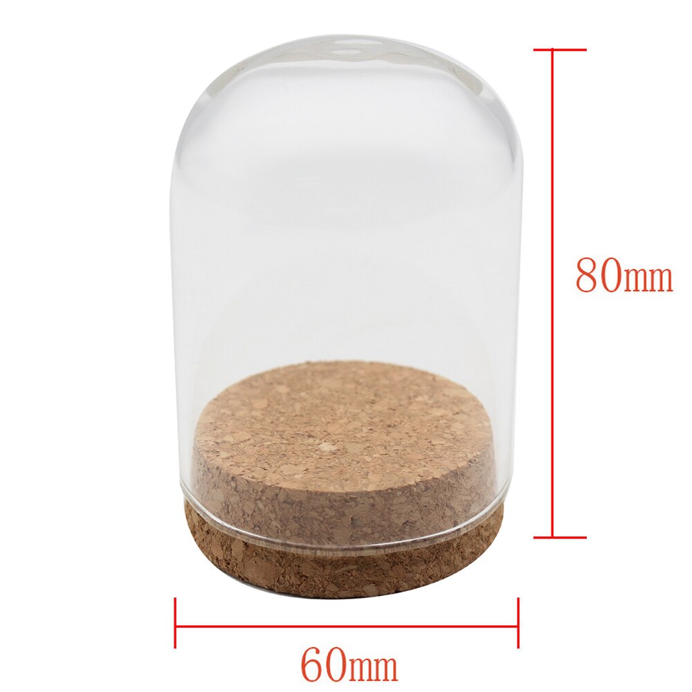 Glass Dome Display Wood Cork Bell Jar Cover Cloche... – Grandado