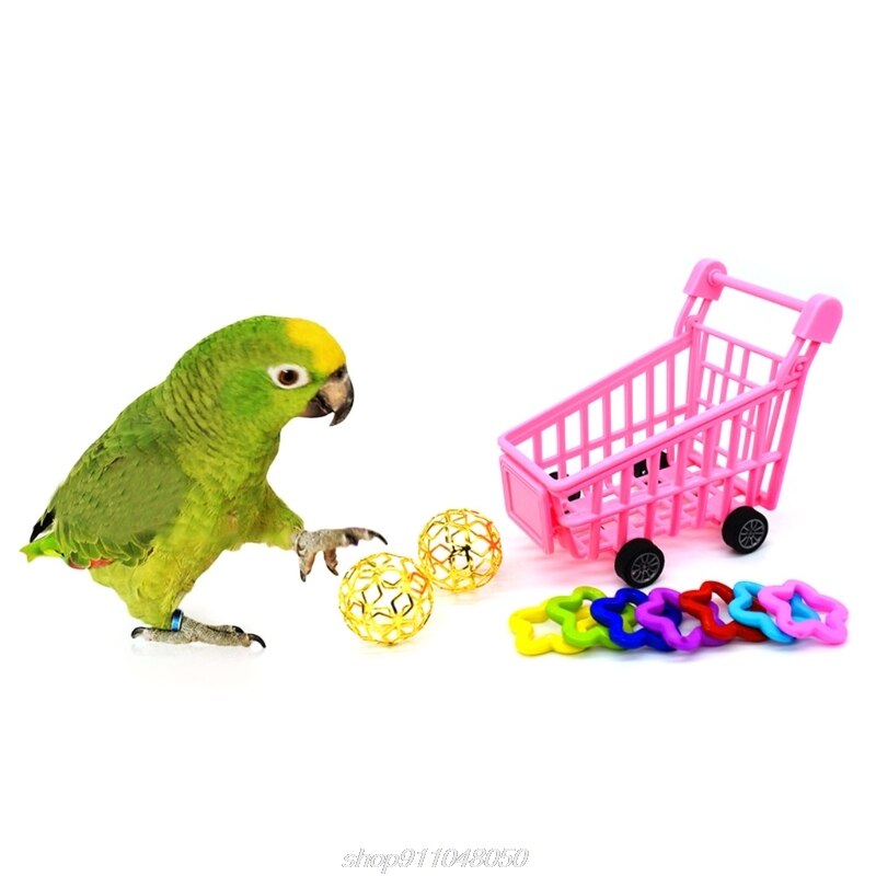 Parrot Bird Puzzle Training Toys Set Mini Plastic ... – Vicedeal
