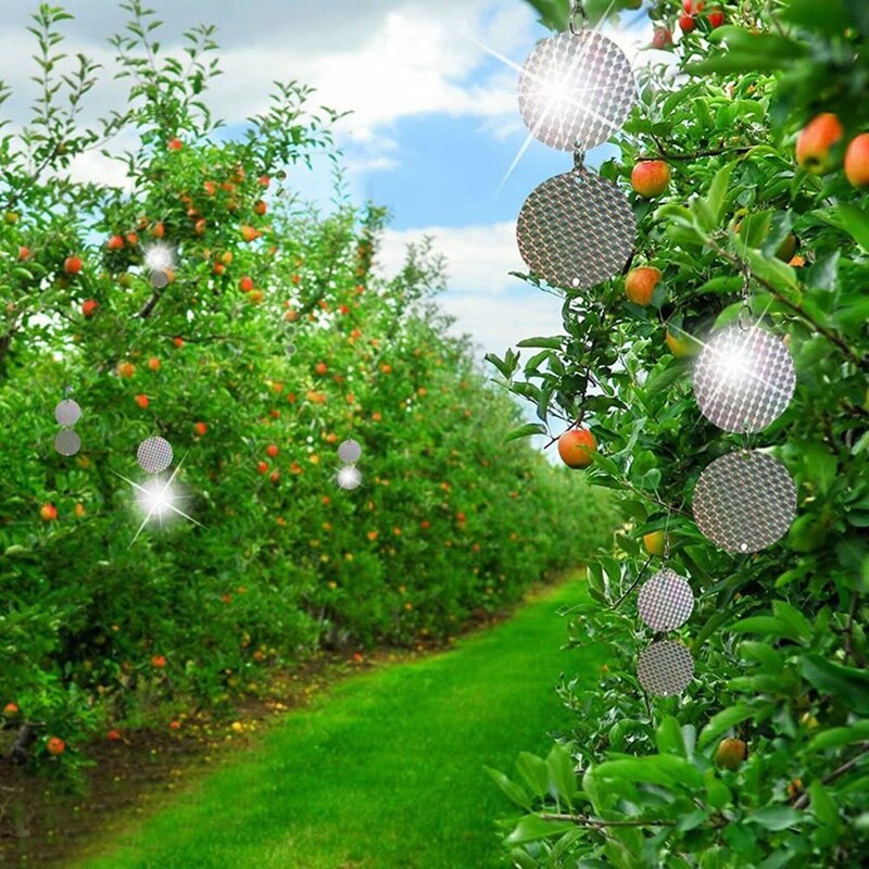 8 Pcs Bird Repellent Deterrent Discs Pigeon Crow P... – Grandado