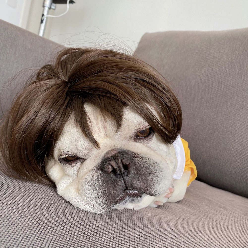 Pet Kat Hond Pruik Cosplay Props Puppy Cross-Dress... – Grandado