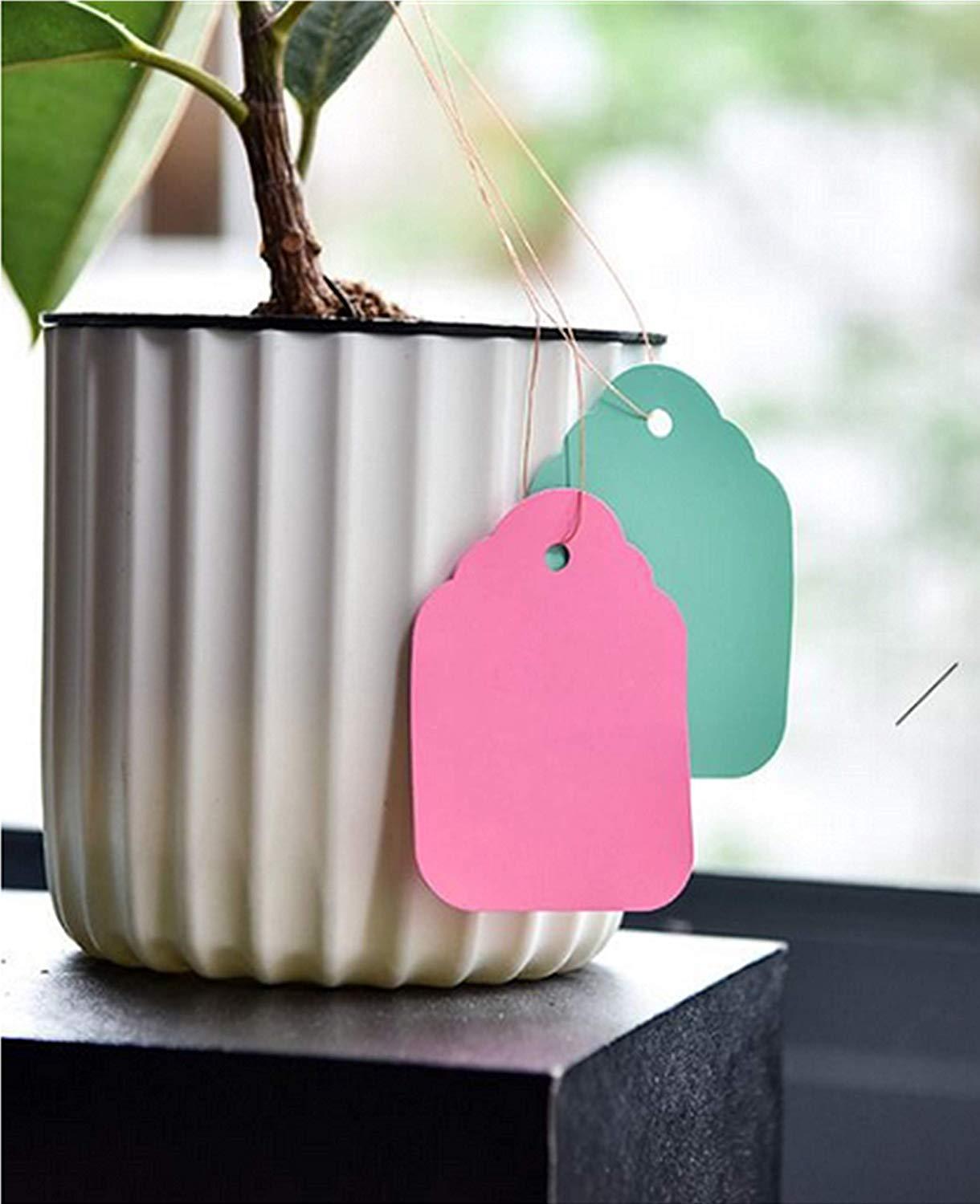 100 pcs Plant Hanging PVC Tags Tree Labels Waterpr... – Vicedeal