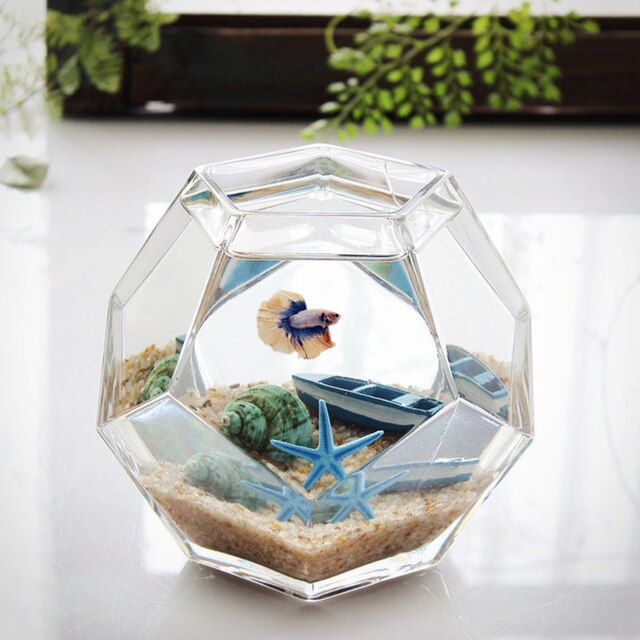 Aquarium polygonal glass aquarium, small desktop a... – Grandado