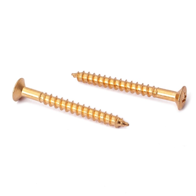 Neck Plate Mounting Screws For Bolt-On Neck For Fe... – Grandado