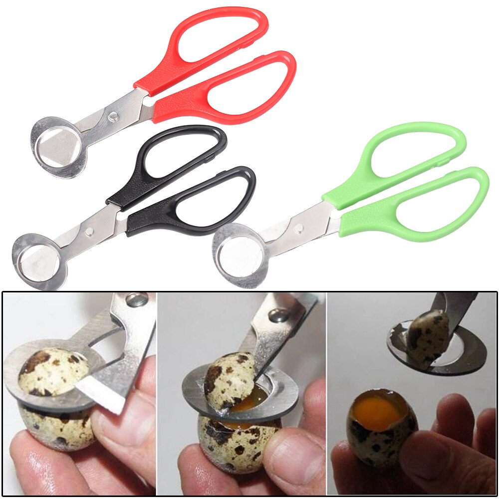 20PCS Quail Egg Scissors Fresh Bird Egg Scissors S... – Vicedeal