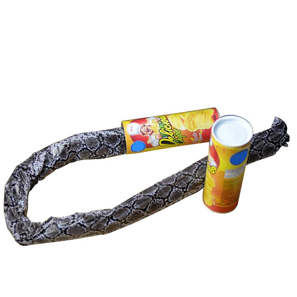 1pc Funny Potato Chip Can Jump Spring Snake Toy Ap... – Grandado