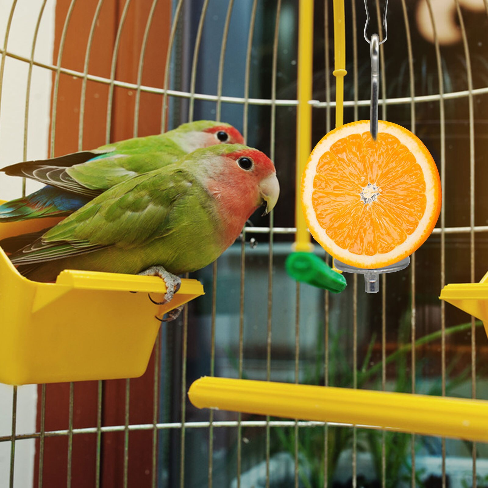 Parrots Fruit Skewer Stainless Steel Birds Vegetab... – Grandado