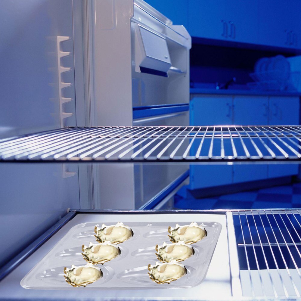 100PCS Disposable Oyster Packing Plate Portable He... – Grandado