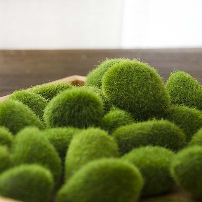 30Pcs Moss Rock Artificial Green Moss Stone Garden... – Grandado