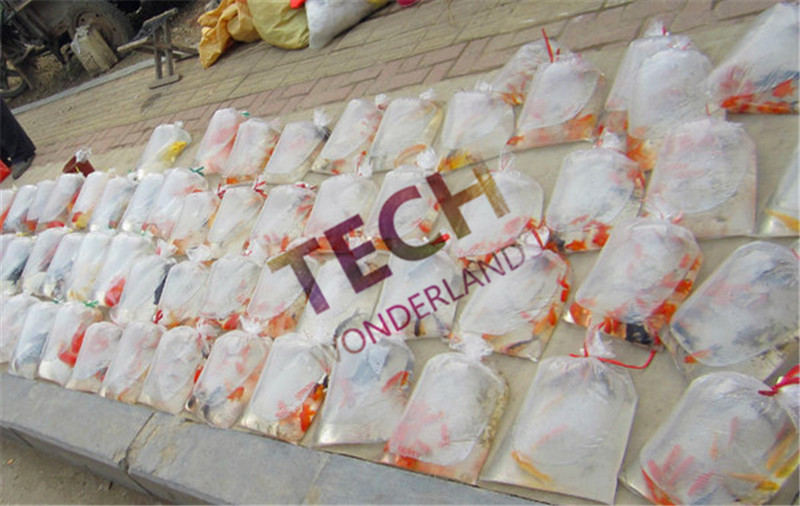 100PCS Breathing Bag Aquarium Fish Bag For Aquariu... – Grandado