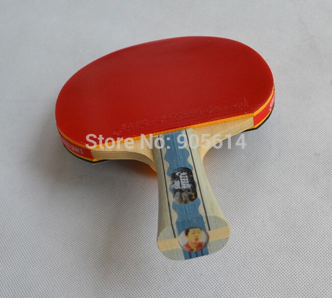 Ping Pong Table Tennis Racket Paddle Bat DHS 6002 – Grandado