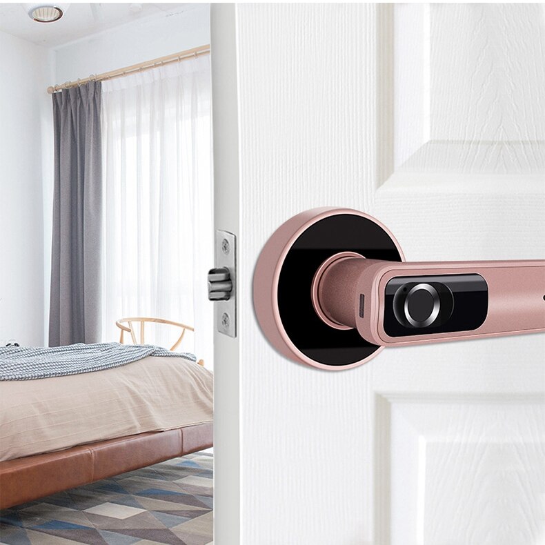 Fingerprint Door Lock Electric Fingerprint Lock wi... – Vicedeal