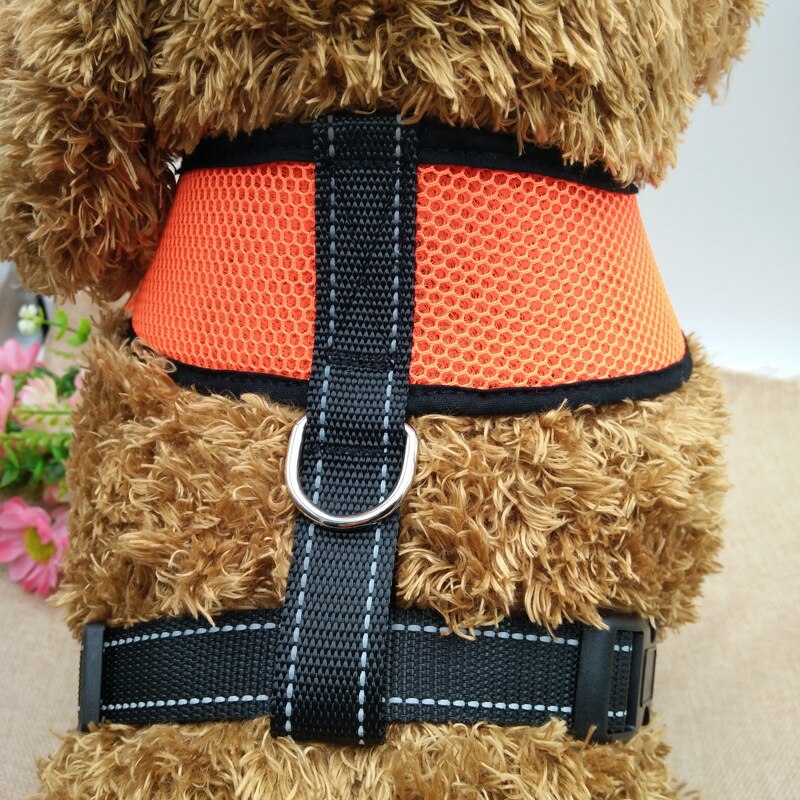Small Dog Harness En Leash Set Soft Walk Vest Supe... – Vicedeal