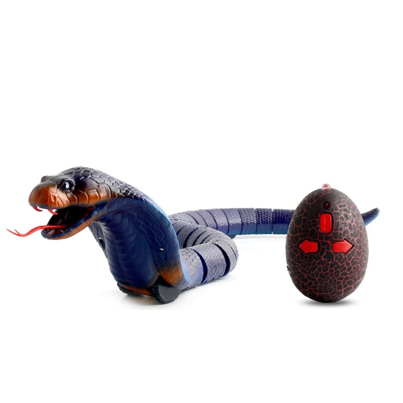 Funny Toy Electric Tricky Infrared Remote Control ... – Grandado