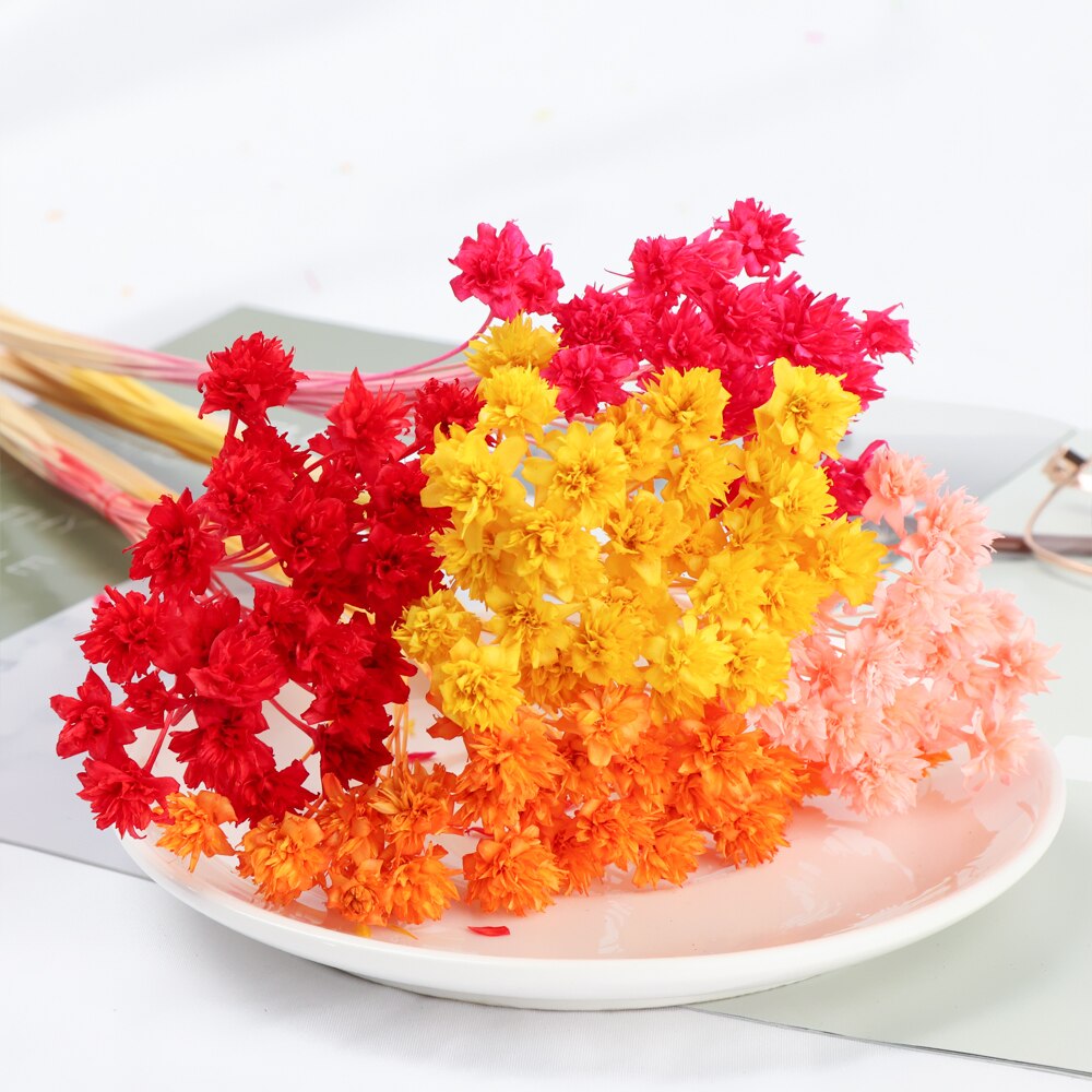 30 pçs mini pequena flor flores secas buquês flora... – Grandado