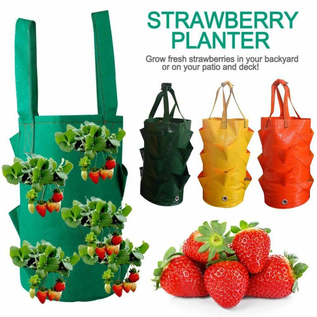 Strawberry Planting Growing Bag 3 Gallons Multi-mo... – Grandado