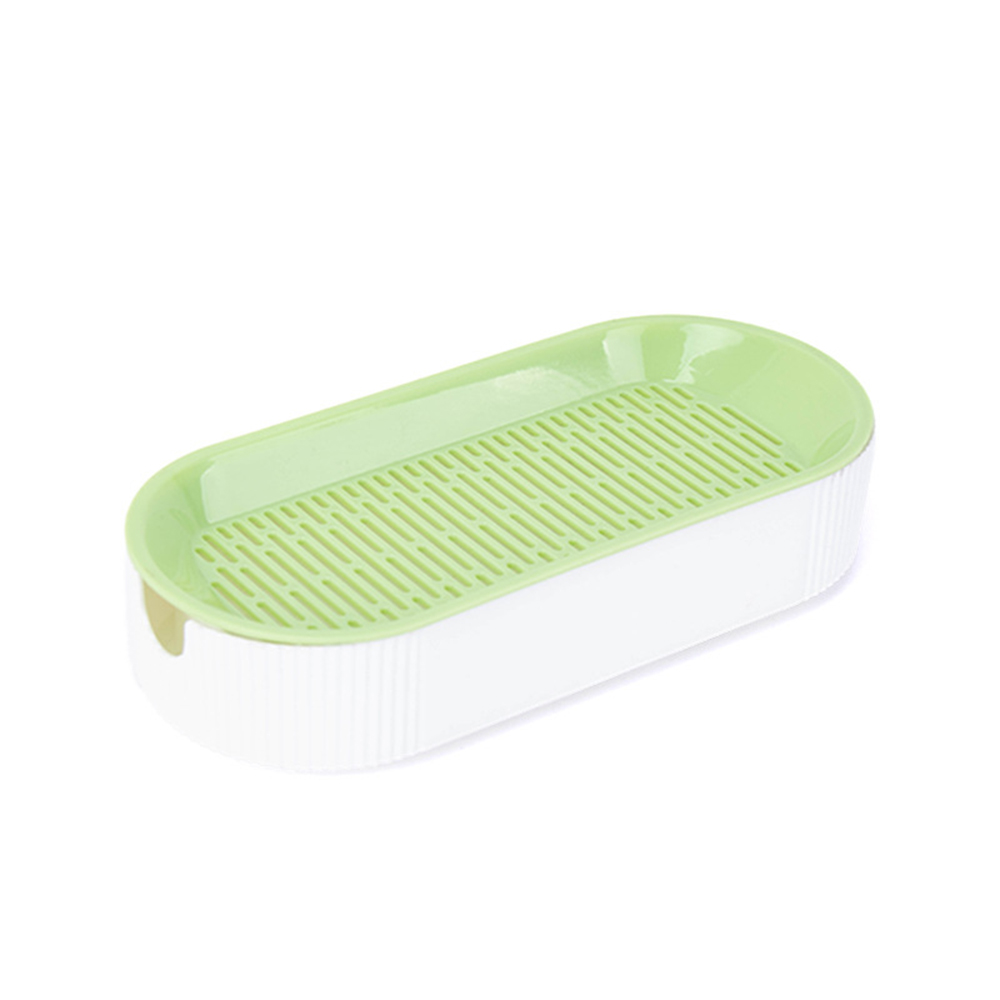 Pet Cat Sprout Dish Growing Pot Hydroponic Plant C... – Grandado