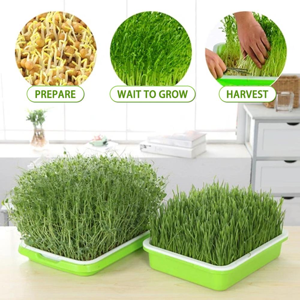 1set Plastic Nursery Pots Seed Sprouter Tray PP So... – Grandado