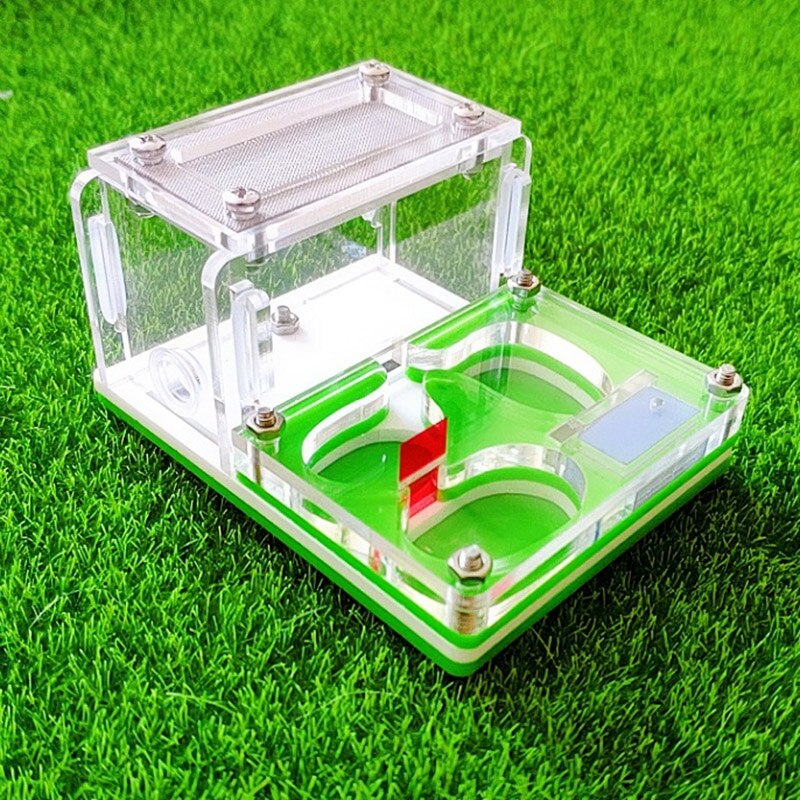 Mini Ant Farm Acrylic Ant Nest Small Pet Feeding B... – Vicedeal