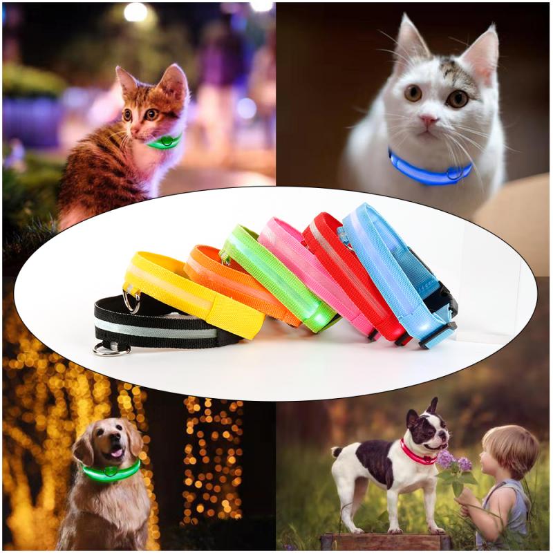 Nylon Pet LED Light Up Dog Leash Collar Night Safe... – Grandado