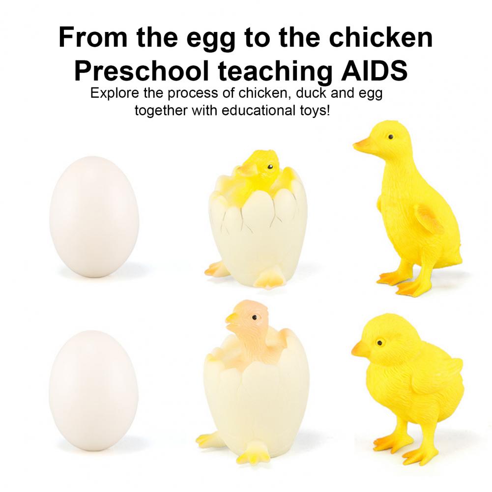 6Pcs/Set Life Cycle Toy Interactive High Imitation... – Vicedeal