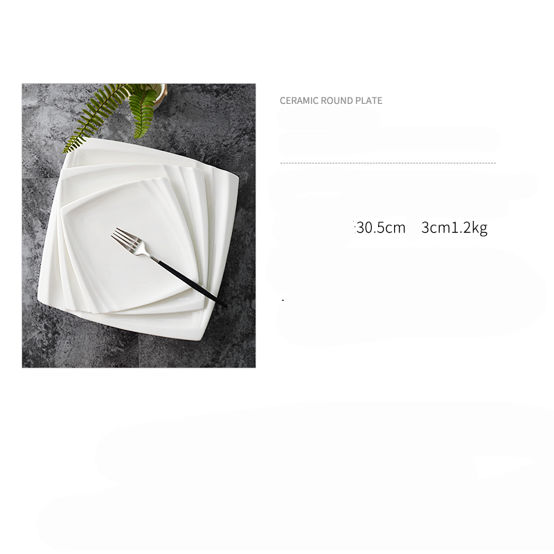 Pure White Ceramic Western Plate Flat Steak Plate ... – Vicedeal