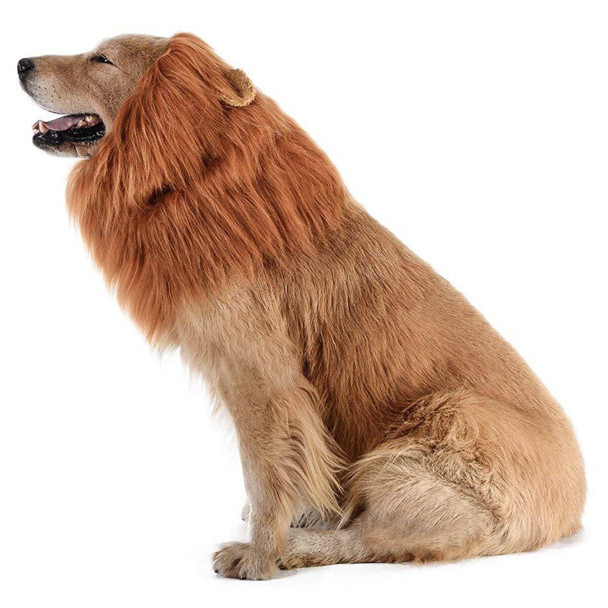 Dog Lion Mane Funny Lion Wig Pet Costume Halloween... – Grandado