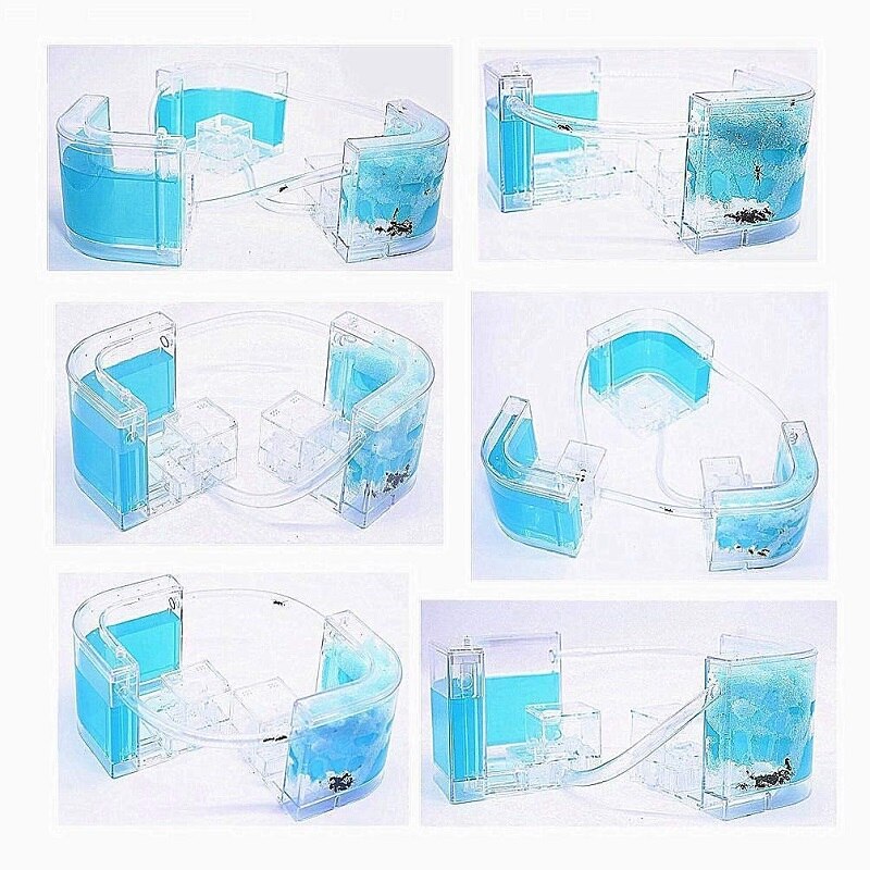 Connecting Ant Farm Castle with Tubes, Habitat Edu... – Vicedeal