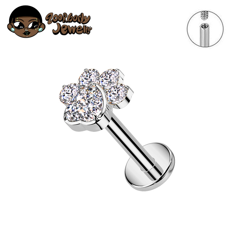 F136 titanhjärta zirkon katt tassavtryck läpppierc... – Grandado