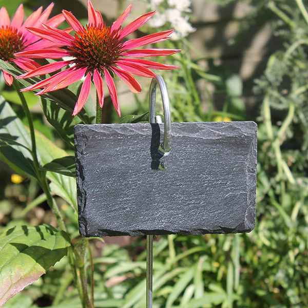 -6 PCS Slate Plant Labels,Plant Tags with Rod,for ... – Vicedeal
