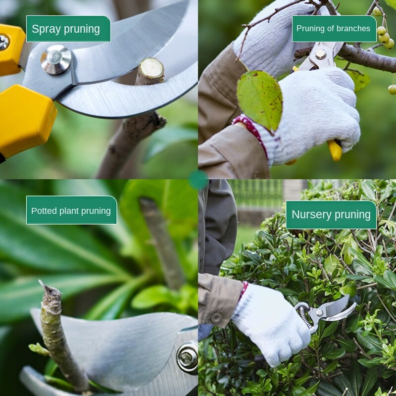 Stainless steel fruit branches horticultural sciss... – Vicedeal