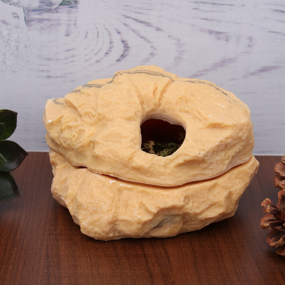 Powerlong Crawler Hiding Cave Tropical Rainforest ... – Vicedeal