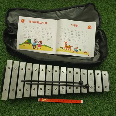 15 Note Xylophone Glockenspiel Wooden Base Aluminu... – Grandado