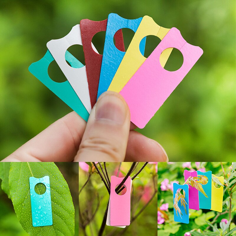 100Pcs Multifunction Plastic Melon Fruit Tags Labe... – Grandado